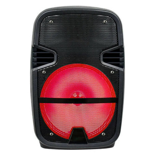 8 Inch Max Power Bluetooth Party Speaker with Microphone - Bargain Prozz